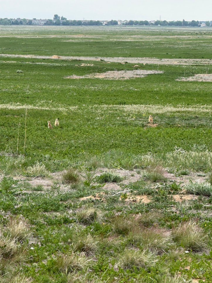 Ultimate Guide to Summer Vacation in Colorado with Preschool and ...